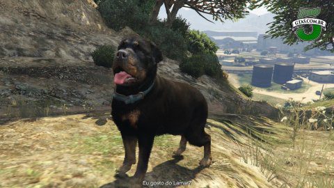 Rottweilers no GTA V